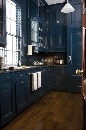 Oh My! I'm Black and Blue | Black and Blue Decor