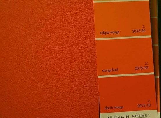 20 Fabulous Shades Of Orange Paint and Furnishings - Laurel Home