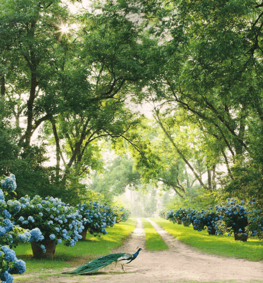 The Most Exquisite Gardens and Landscaping Ever! - Laurel Home