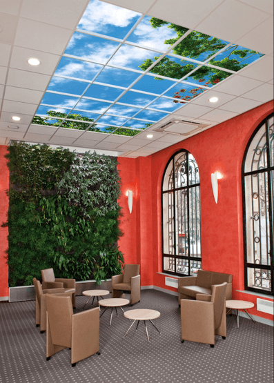 No Windows? No Problem. Help for a Windowless Room - Laurel Home