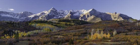 No Windows? No Problem. Help for a Windowless Room - Laurel Home