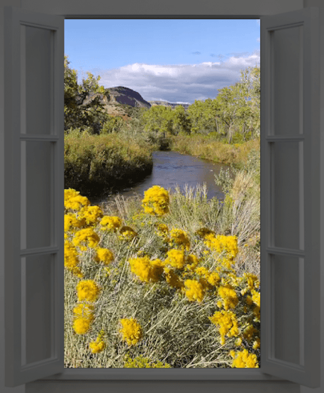 No Windows? No Problem. Help for a Windowless Room - Laurel Home