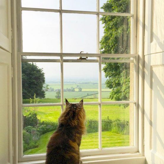 White On White Decor Inspired By Charlotte-Anne Fidler - Laurel Home