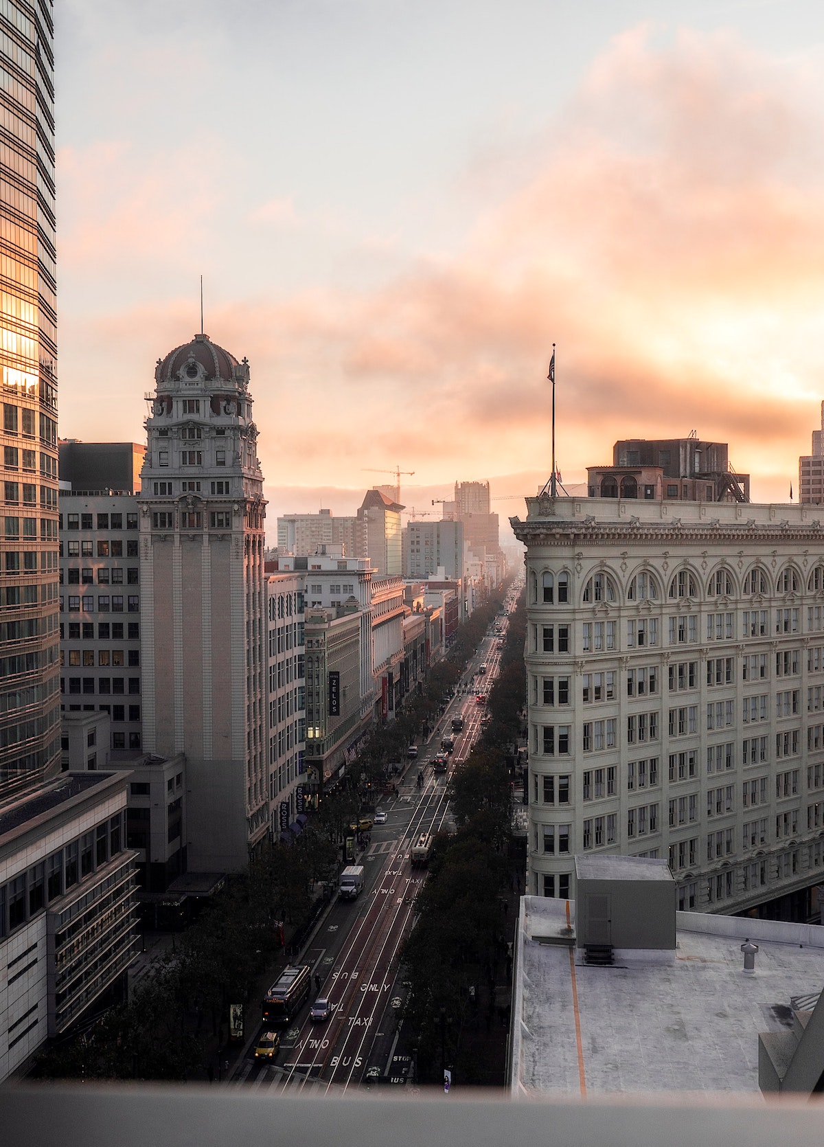 How To Get Gorgeous Free Art That Looks Expensive - Laurel Home