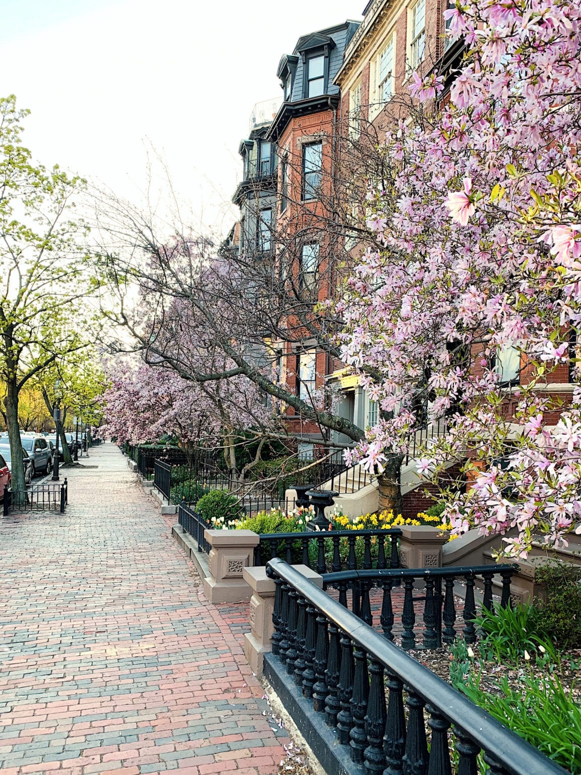 Color Palettes From Nature + Springtime in Boston! - Laurel Home