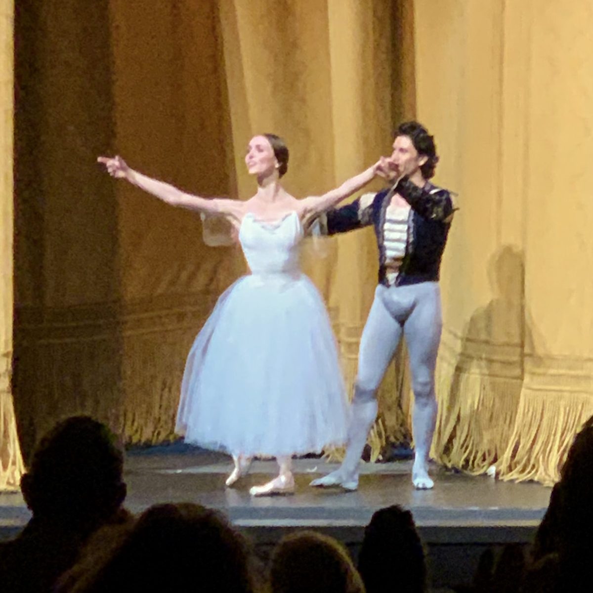 Tribute to Skylar Brandt, Principal Ballerina American Ballet Theatre ...
