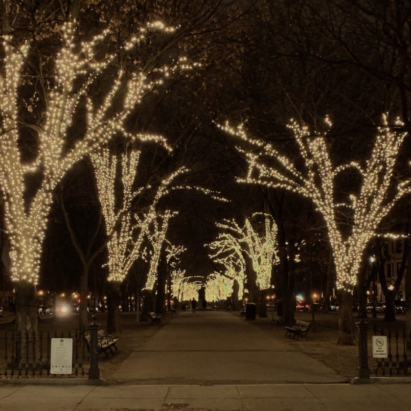 Magical Boston Christmas Lights, Decor and More! - Laurel Home