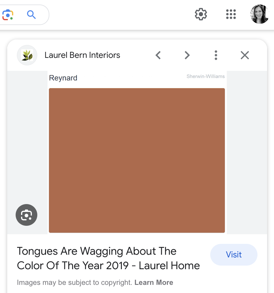 Sherwin-Williams COTY 2024 - (Insipid) Persimmon - Laurel Home