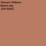 Sherwin-Williams COTY 2024 - (Insipid) Persimmon - Laurel Home