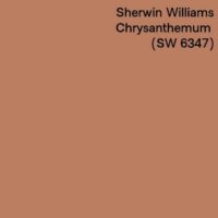 Sherwin-Williams COTY 2024 - (Insipid) Persimmon - Laurel Home