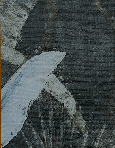 Fine & Dandy Wall Coverings - A Review After Receiving Samples - Laurel ...