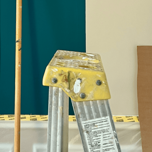 The Shocking Deep Paint Color In My Den! - Laurel Home